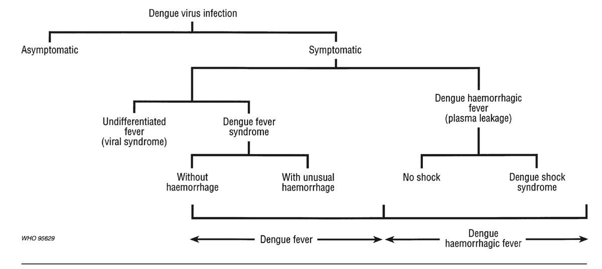 Explained | Why is a viable dengue vaccine not yet available - The Hindu